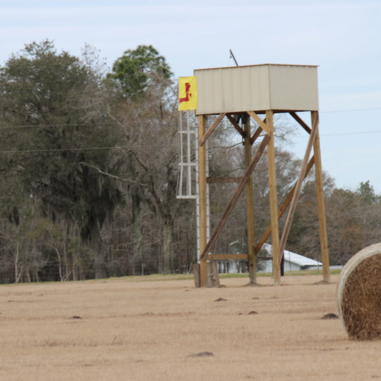 1/11/2025 Pheasant Tower Hunt (AM Hunt)- 130 Birds | BAR JR FARM, LLC.